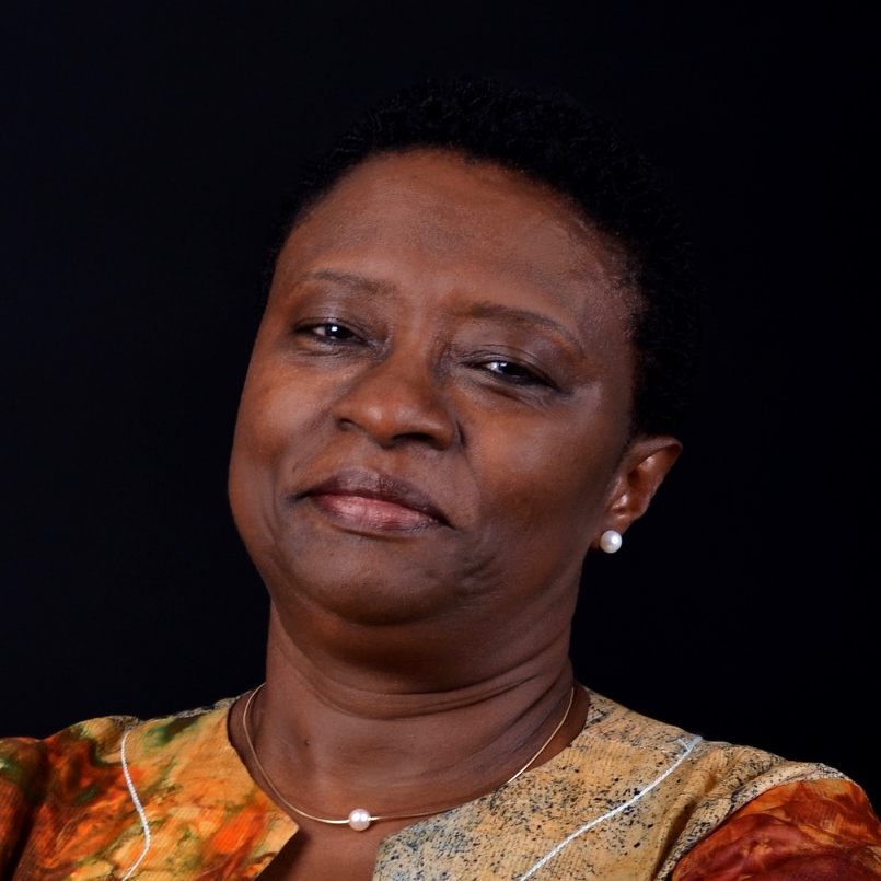 The Forum at the 2023 World Health Summit: Incentivize Early Warning ...