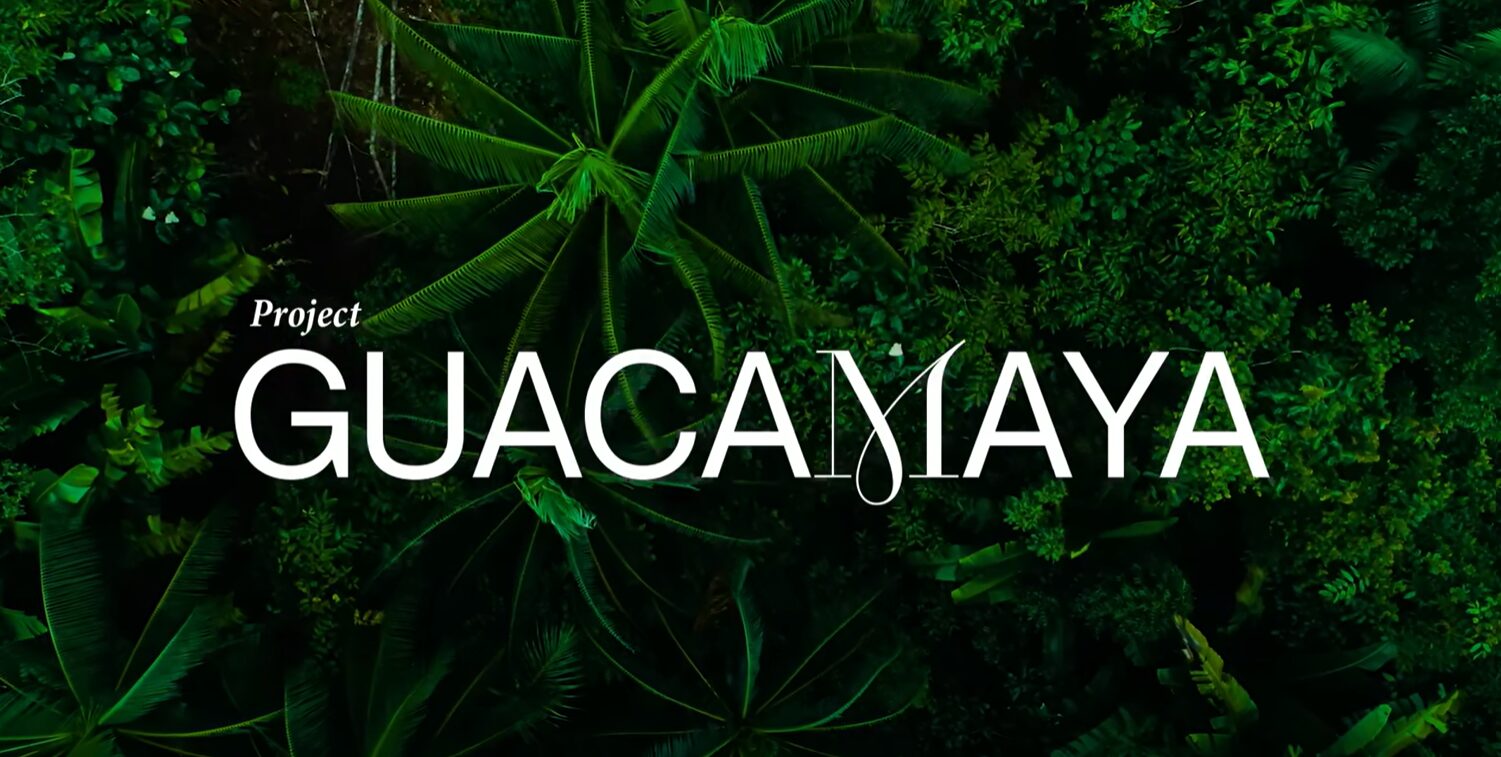 Project Guacamaya - Paris Peace Forum