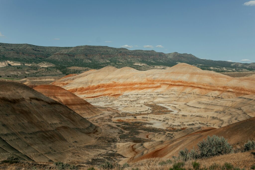 Job Offer: Transition Minerals Policy Manager - Paris Peace Forum